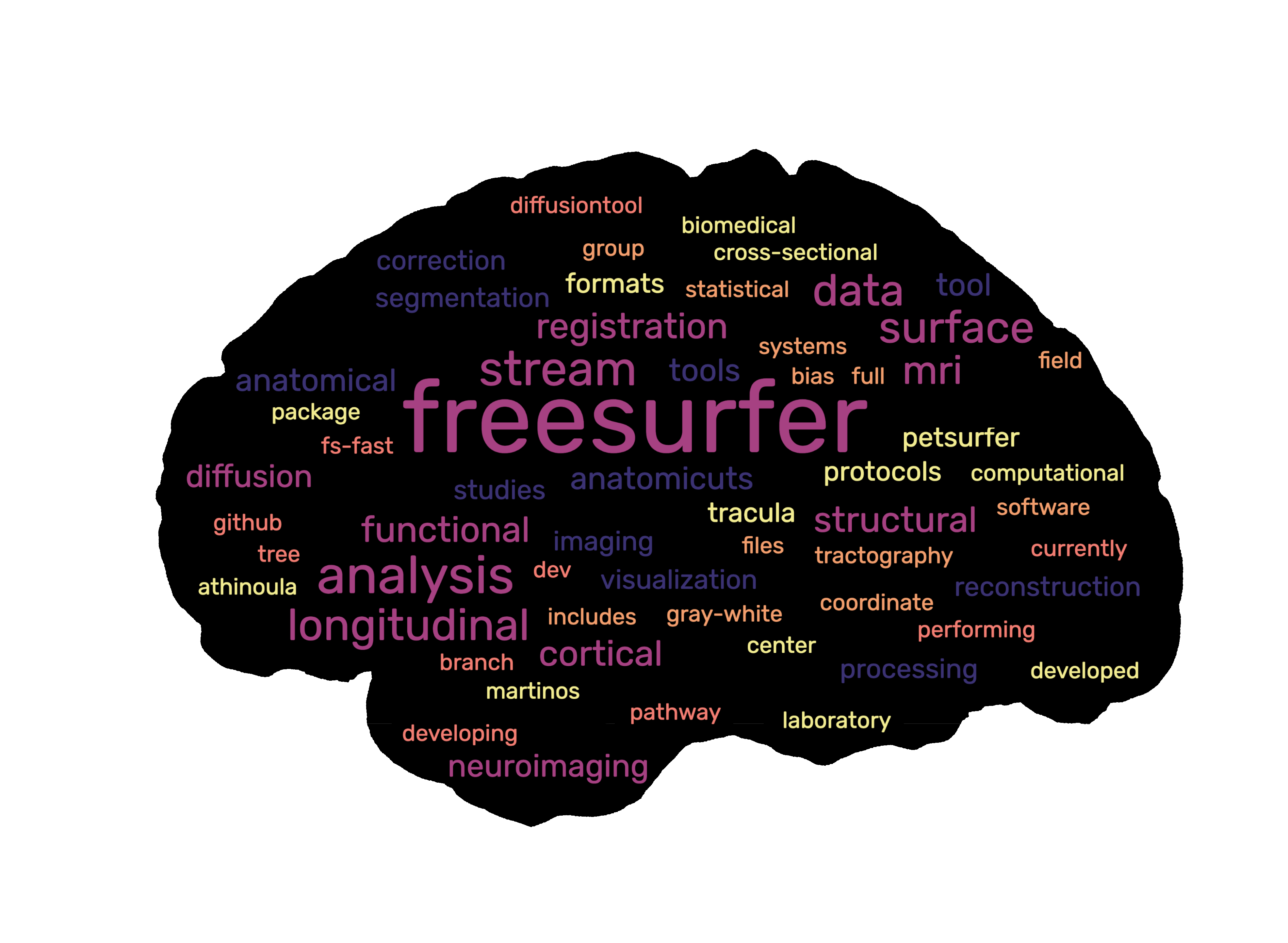 Freesurfer Design Competition – Laboratories for Computational Neuroimaging